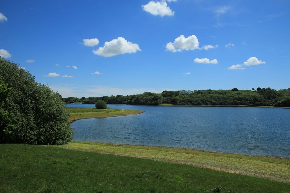 Bewl Water Half Marathon, Marathon, Ultra & 10k - September | Apuama