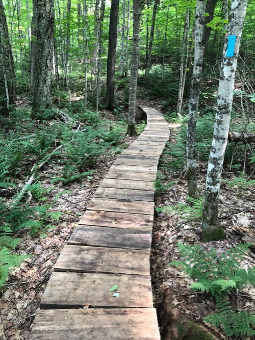 Rock River Canyon Trail Run 2025 | Apuama