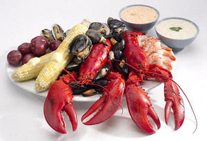 New England Clam Bake - New England Fall Foliage