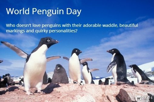 World Penguin Day