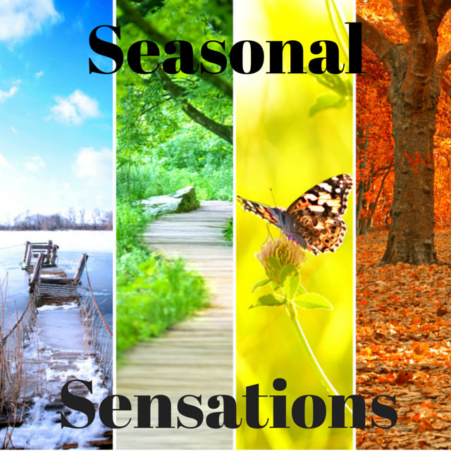 Seasonal Sensations