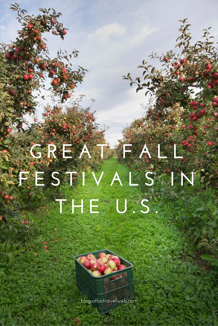 Great Fall Festivals