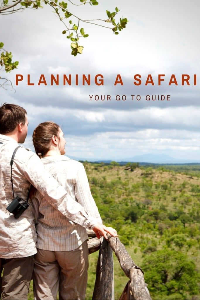 Planning A Safari