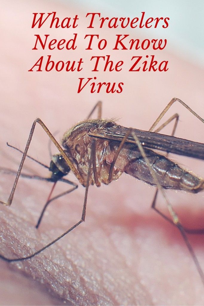 What Travelers Need To Know About The Zika Virus