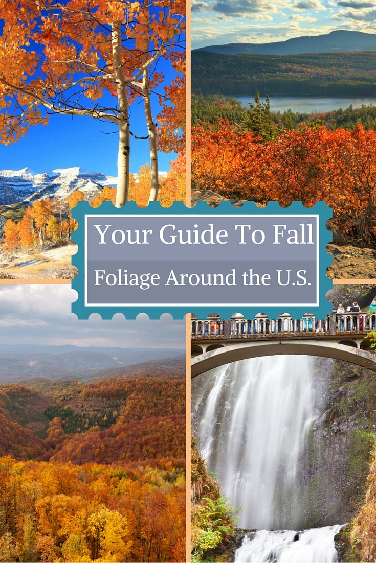 Your Guide to Fall Foliage Around the U.S. - Part 1