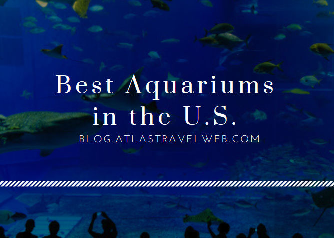 The Best Aquariums in the U.S.