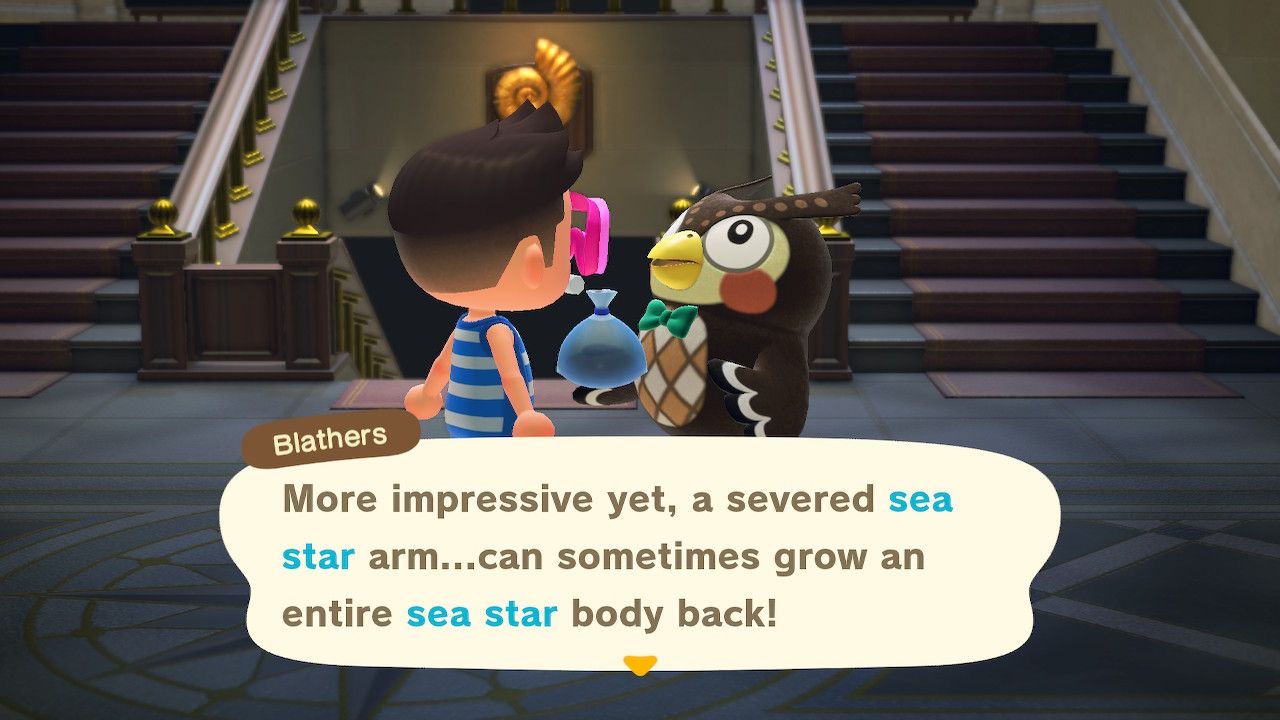 Animal Crossing: New Horizons - Summer Update