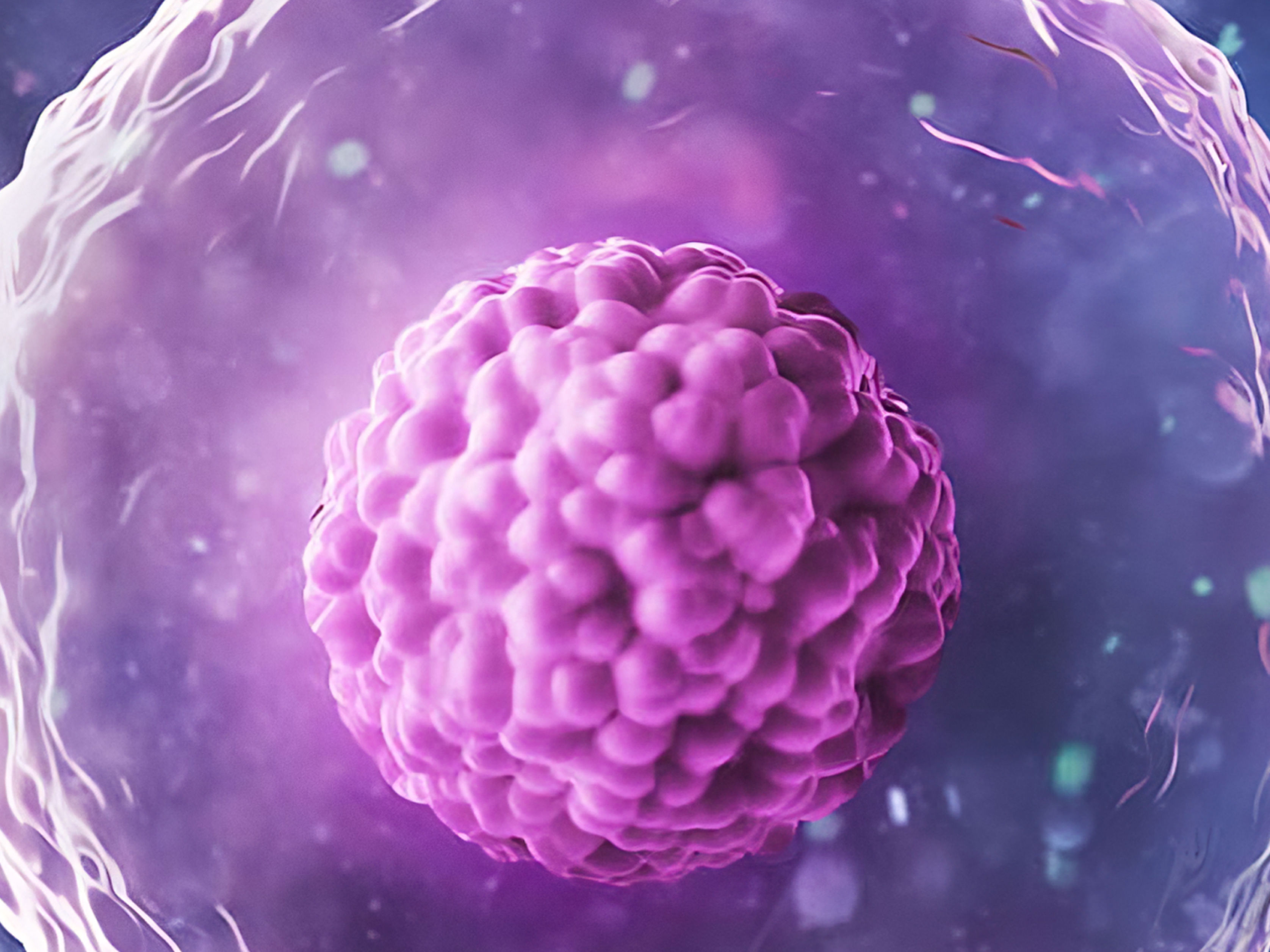 Our Work - Ruder Finn Atteline