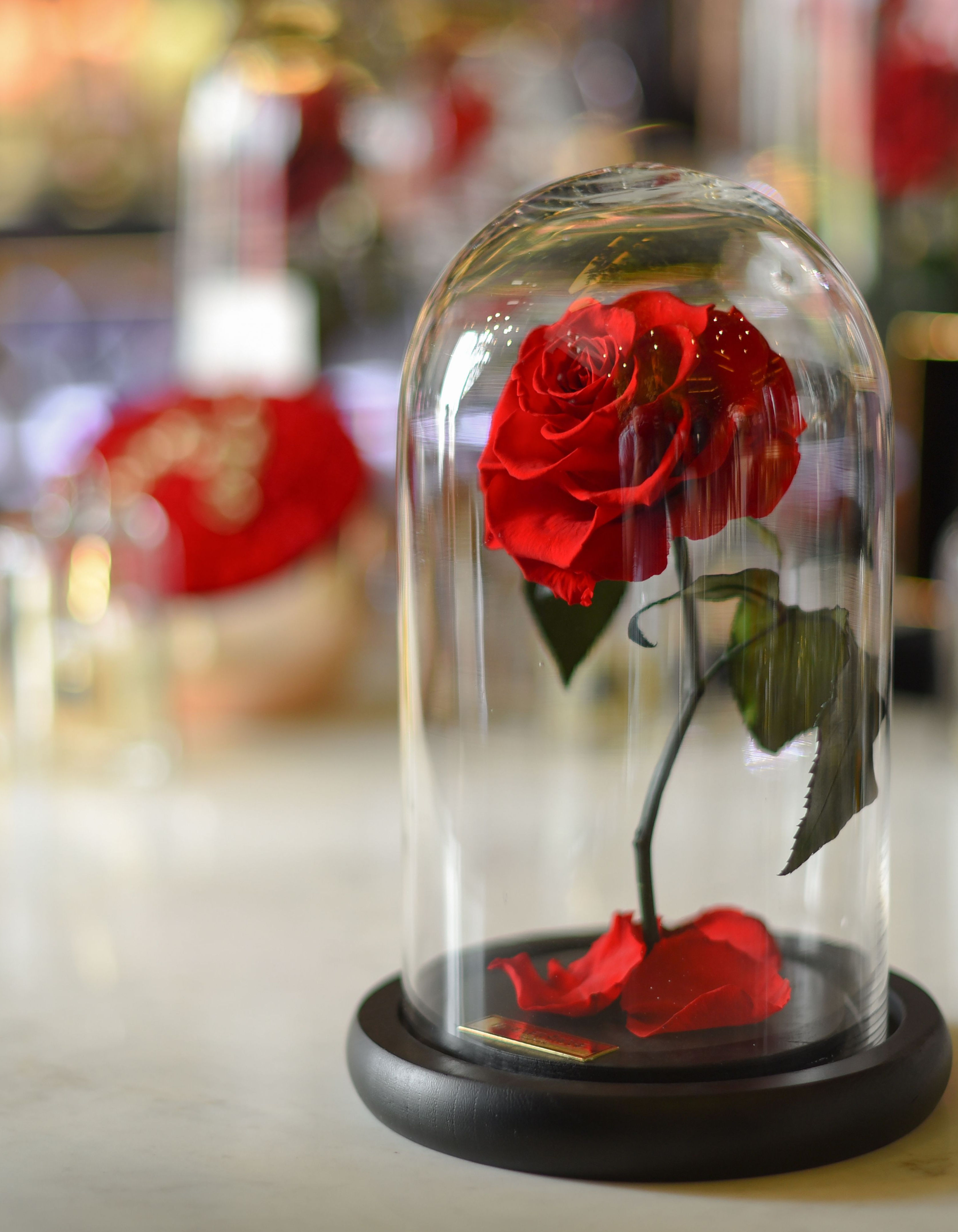 Forever Rose x Disney - Ruder Finn Atteline