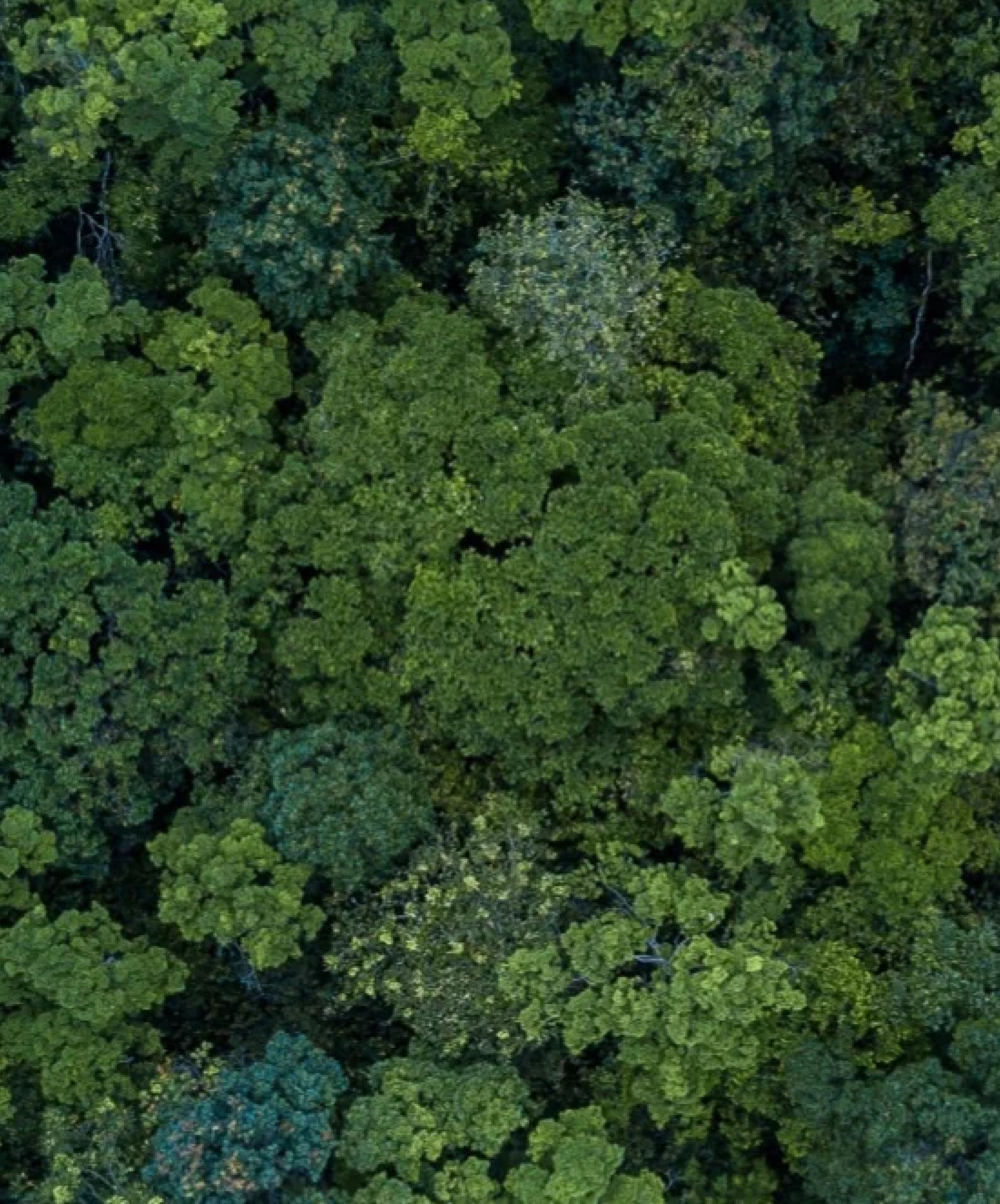 Green Future Project - Ruder Finn Atteline