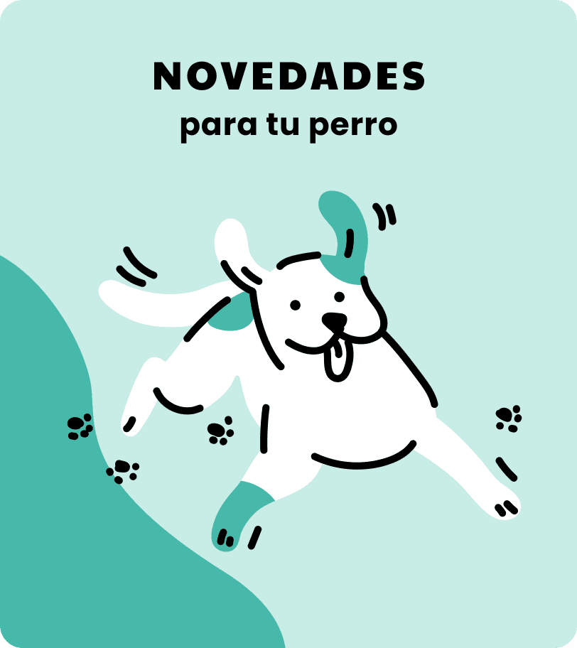 Zoomies ¡Todo para tu mascota en un solo lugar! Pedí en línea