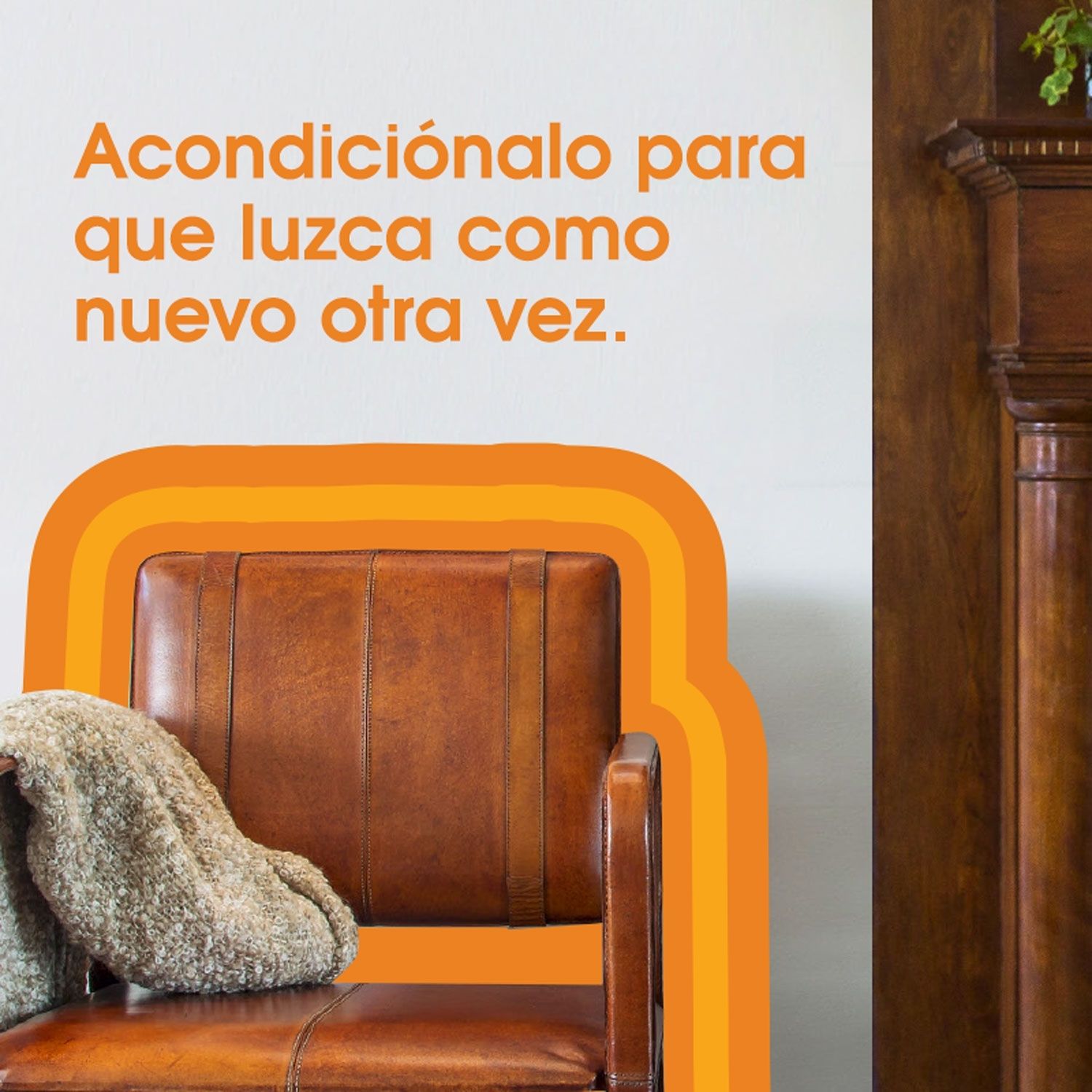 Limpiador Mueble Madera Cereza Lustre Pledge Envase 500 Ml | Auto Mercado