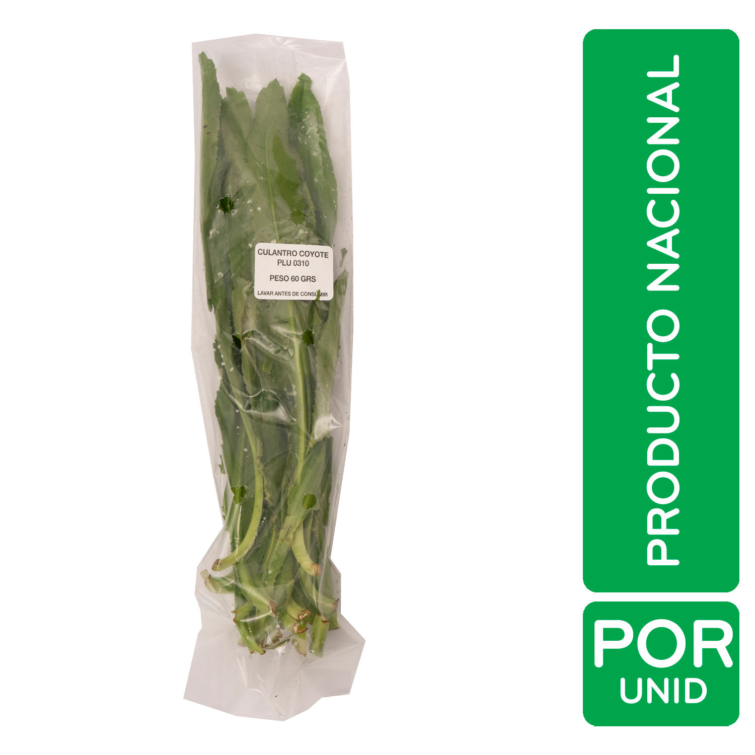 Culantro Coyote Auto Mercado Rollo Unid | Auto Mercado