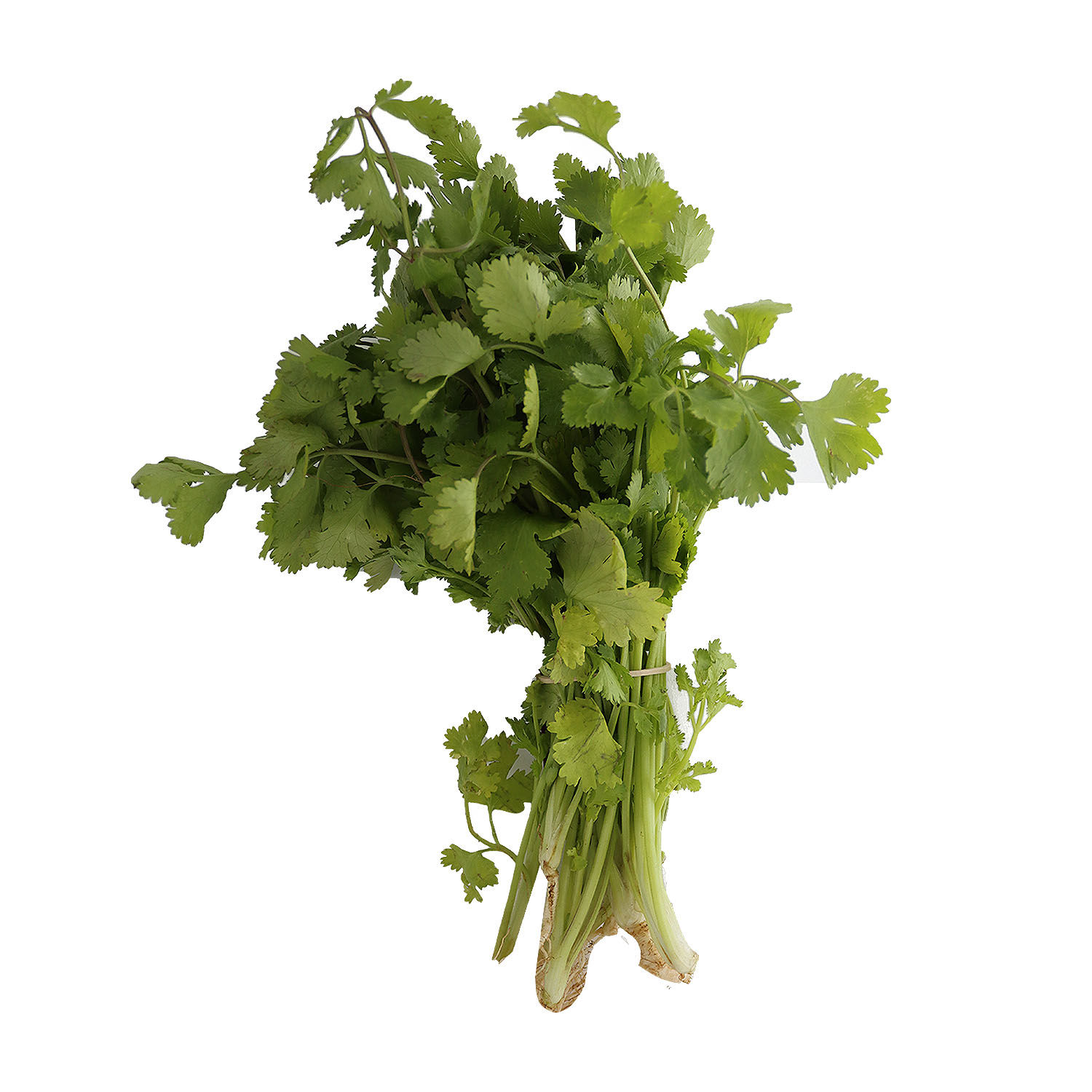 Culantro Organico Auto Mercado Rollo Unid | Auto Mercado