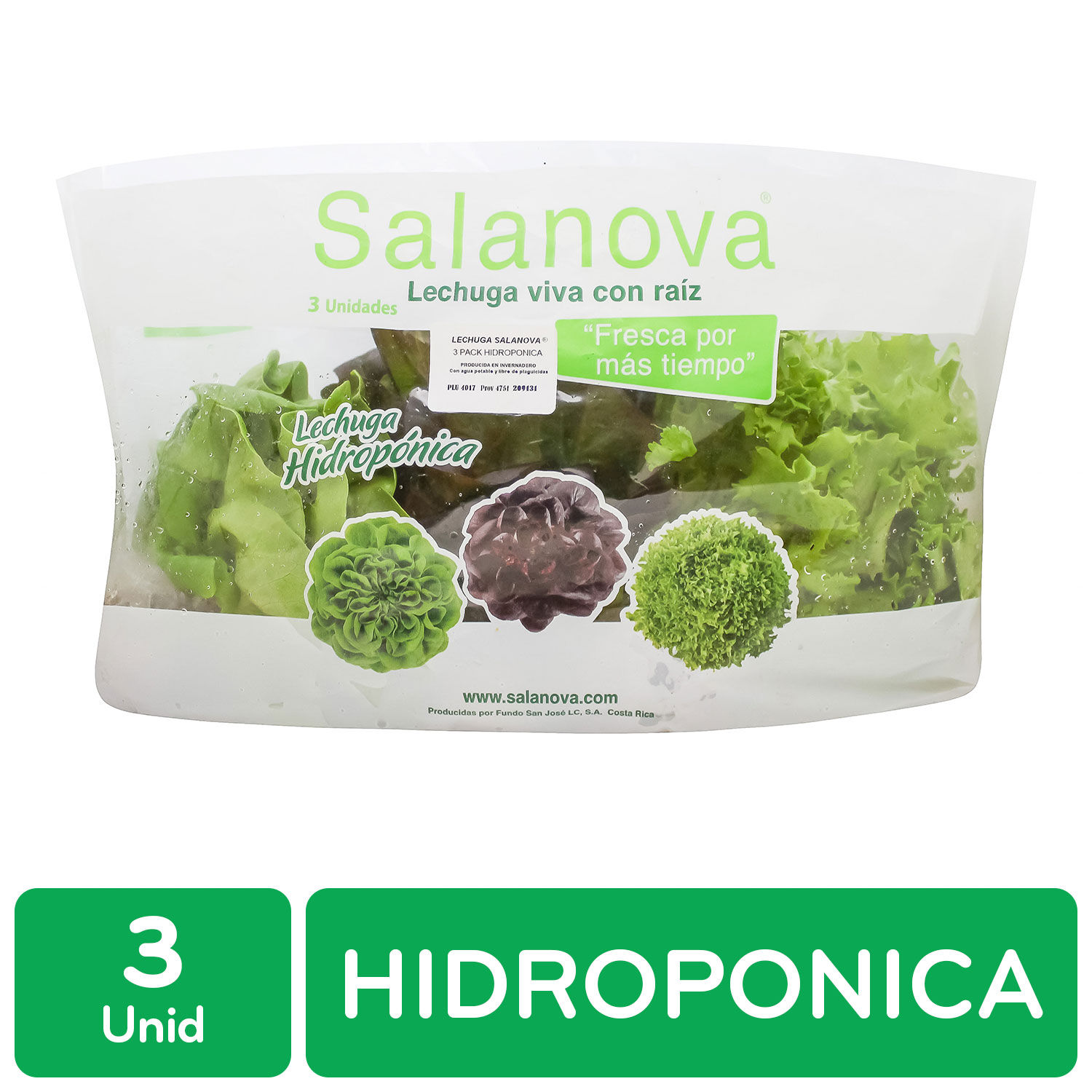 Lechuga Salanova Hidroponica Auto Mercado Paquete 3 Unid | Auto Mercado