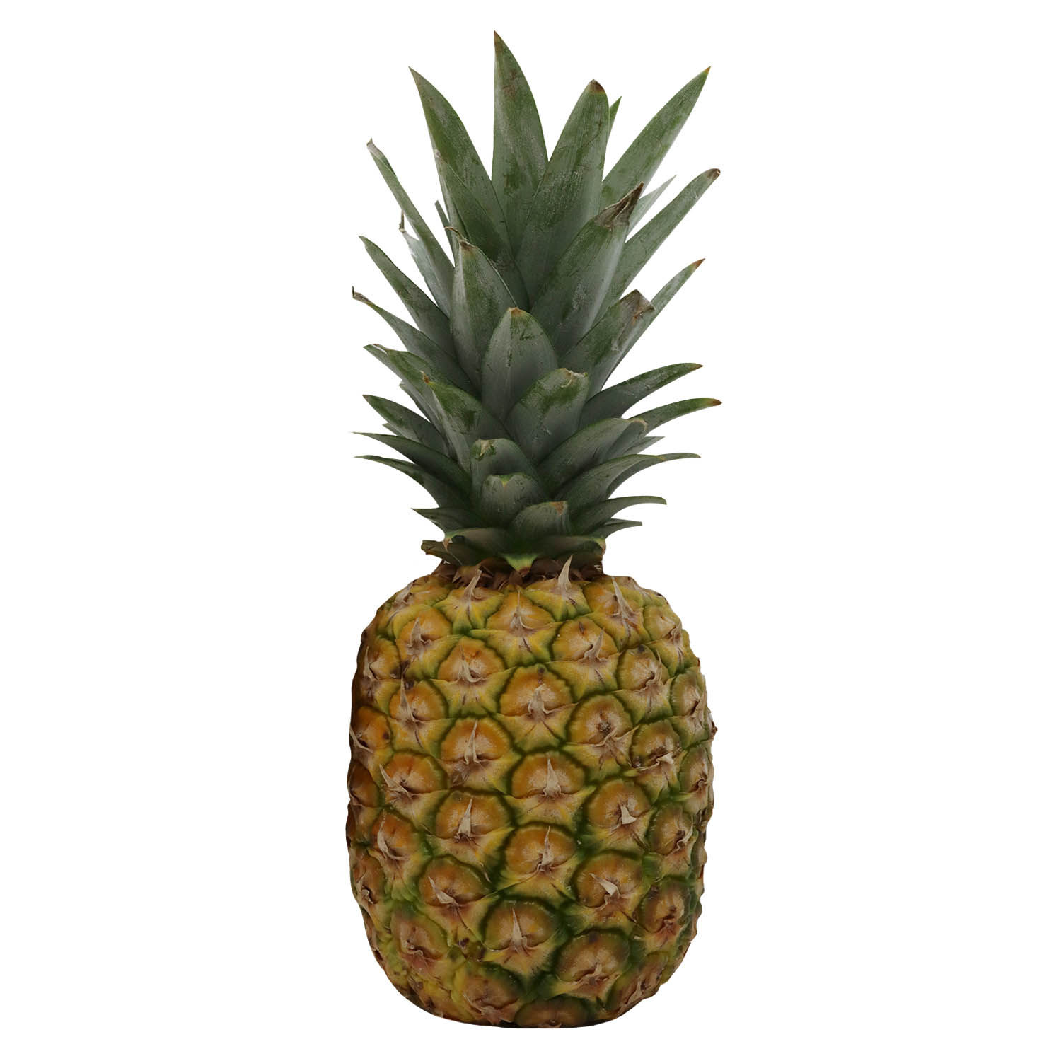 Piña Premium Baby De Exportacion Auto Mercado Unid | Auto Mercado