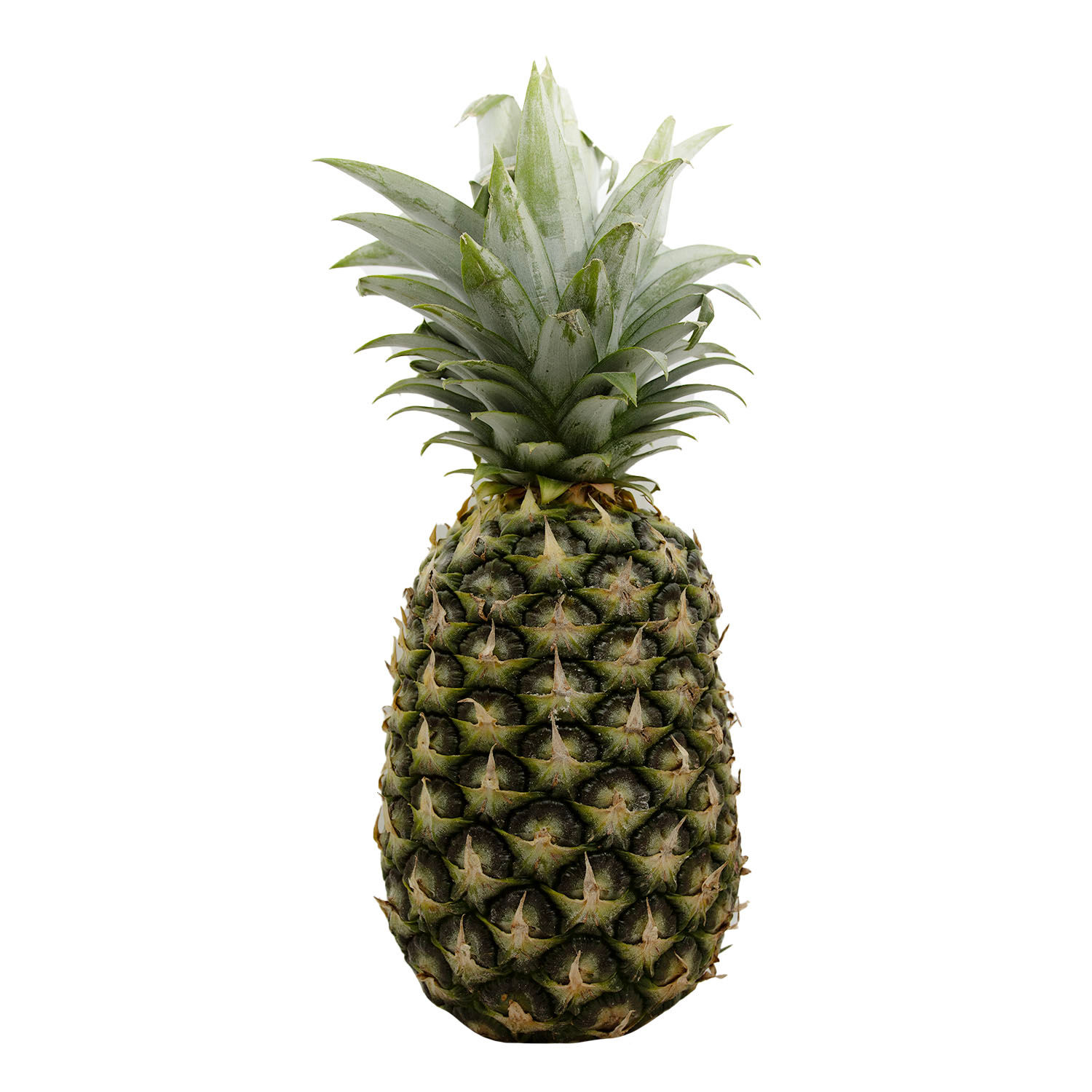 Auto Mercado ¡Tus compras en un solo lugar! Pedí en linea