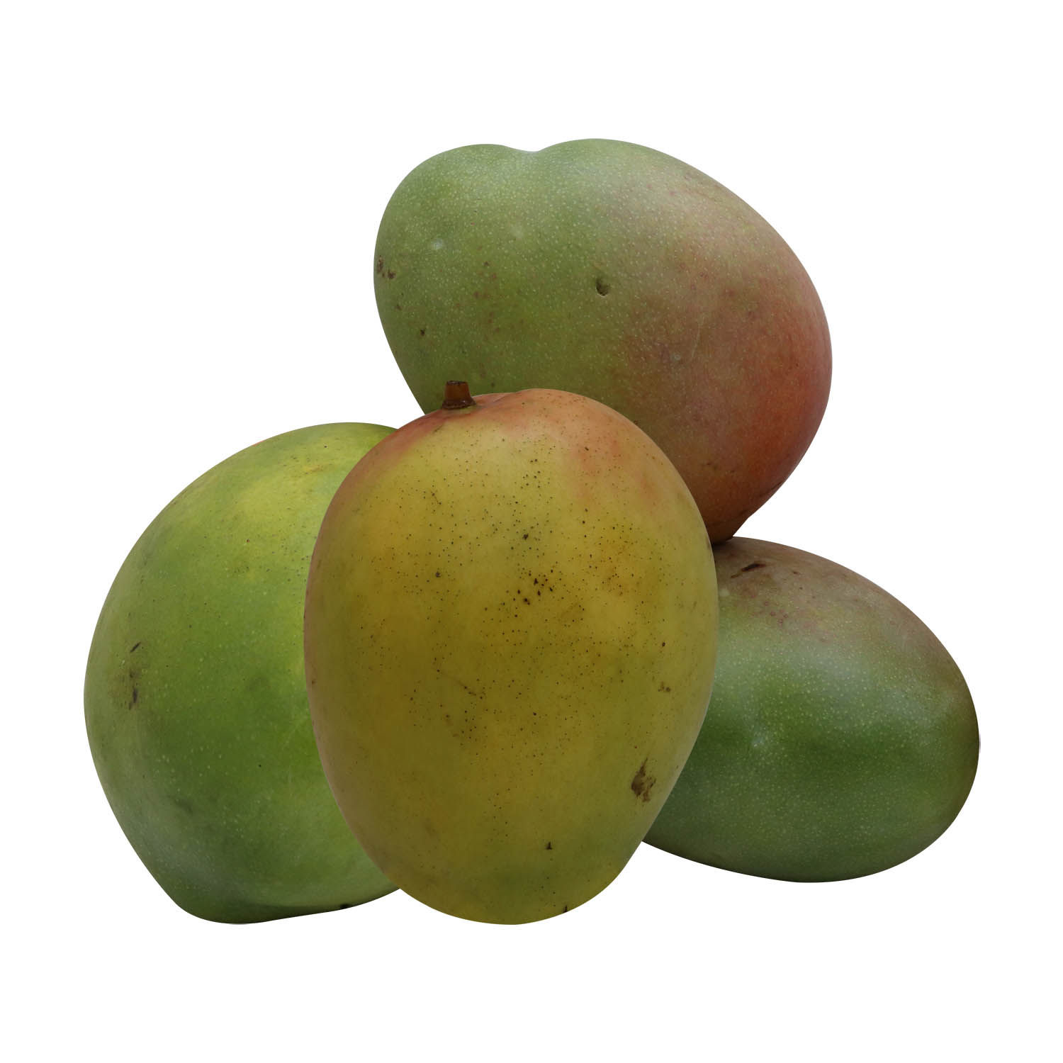 Auto Mercado ¡Tus compras en un solo lugar! Pedí en linea