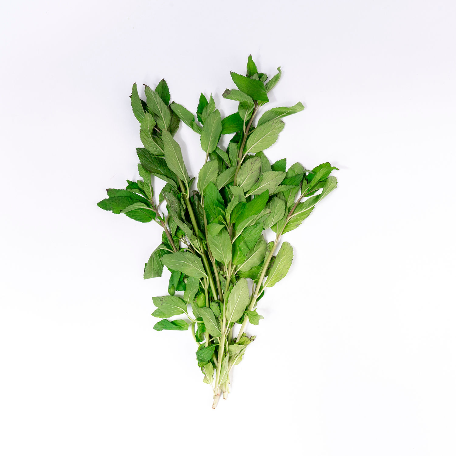 Auto Mercado ¡Tus compras en un solo lugar! Pedí en linea