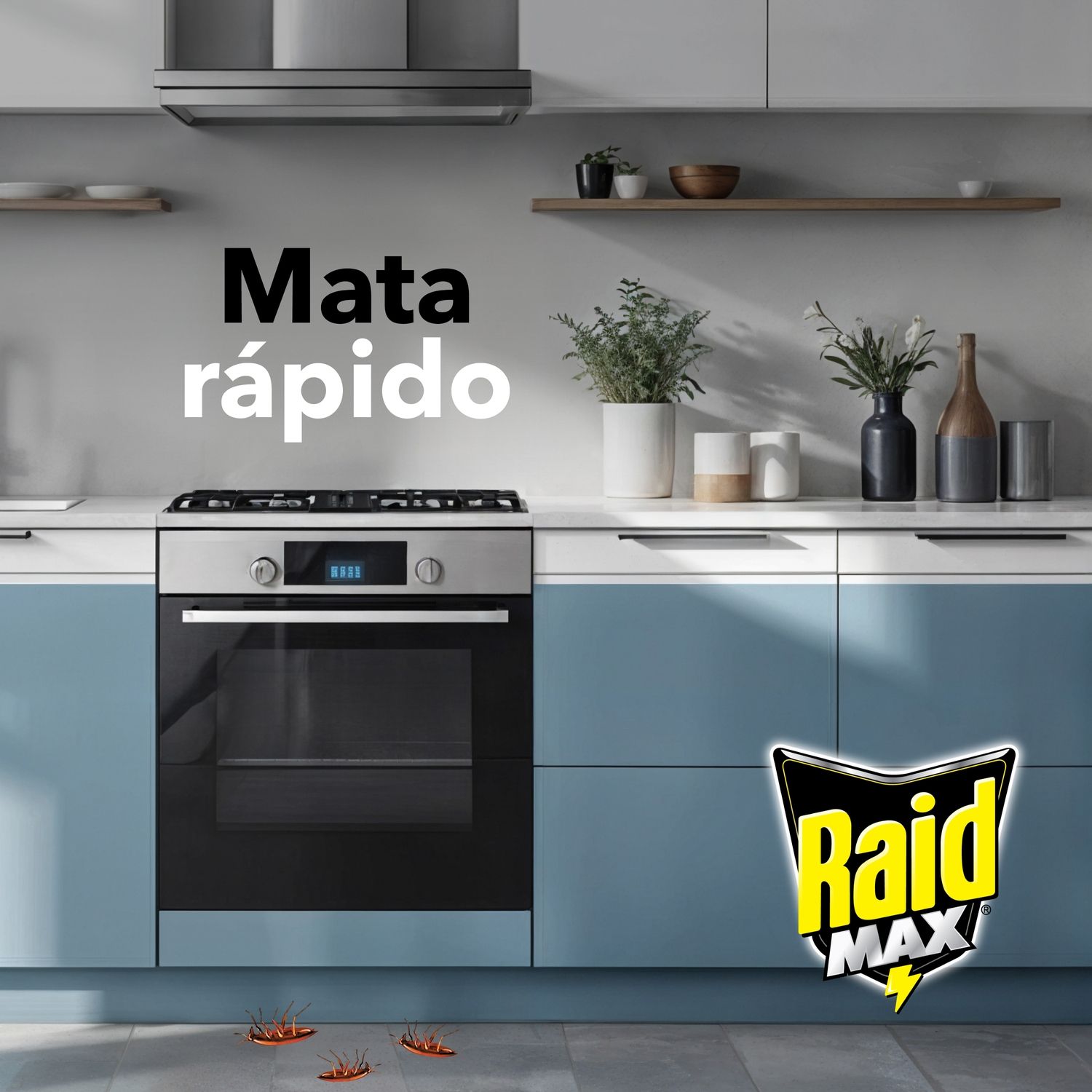 Trampa Gel Cucarachas Exterminador Raid Caja 10 G | Auto Mercado