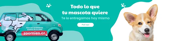 Zoomies ¡Todo para tu mascota en un solo lugar! Pedí en línea
