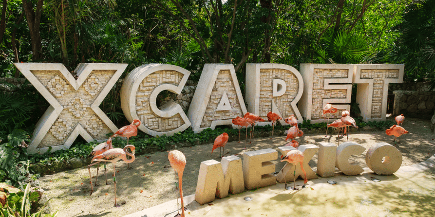 Tour Xcaret, Información Precios y Entradas | Aeropuerto Cancún