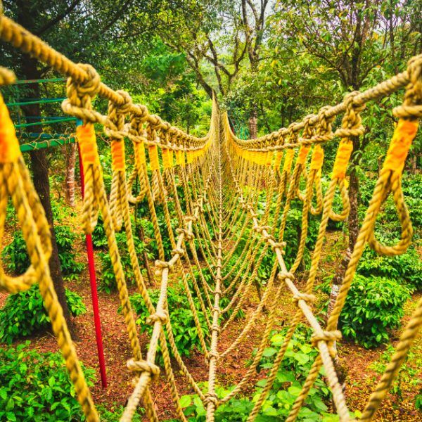 Bisle Mountain Mist Homestay - Sakelshpur Stays