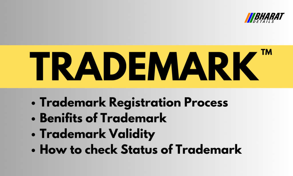 How To Get Trademark, Registration Process & Validity