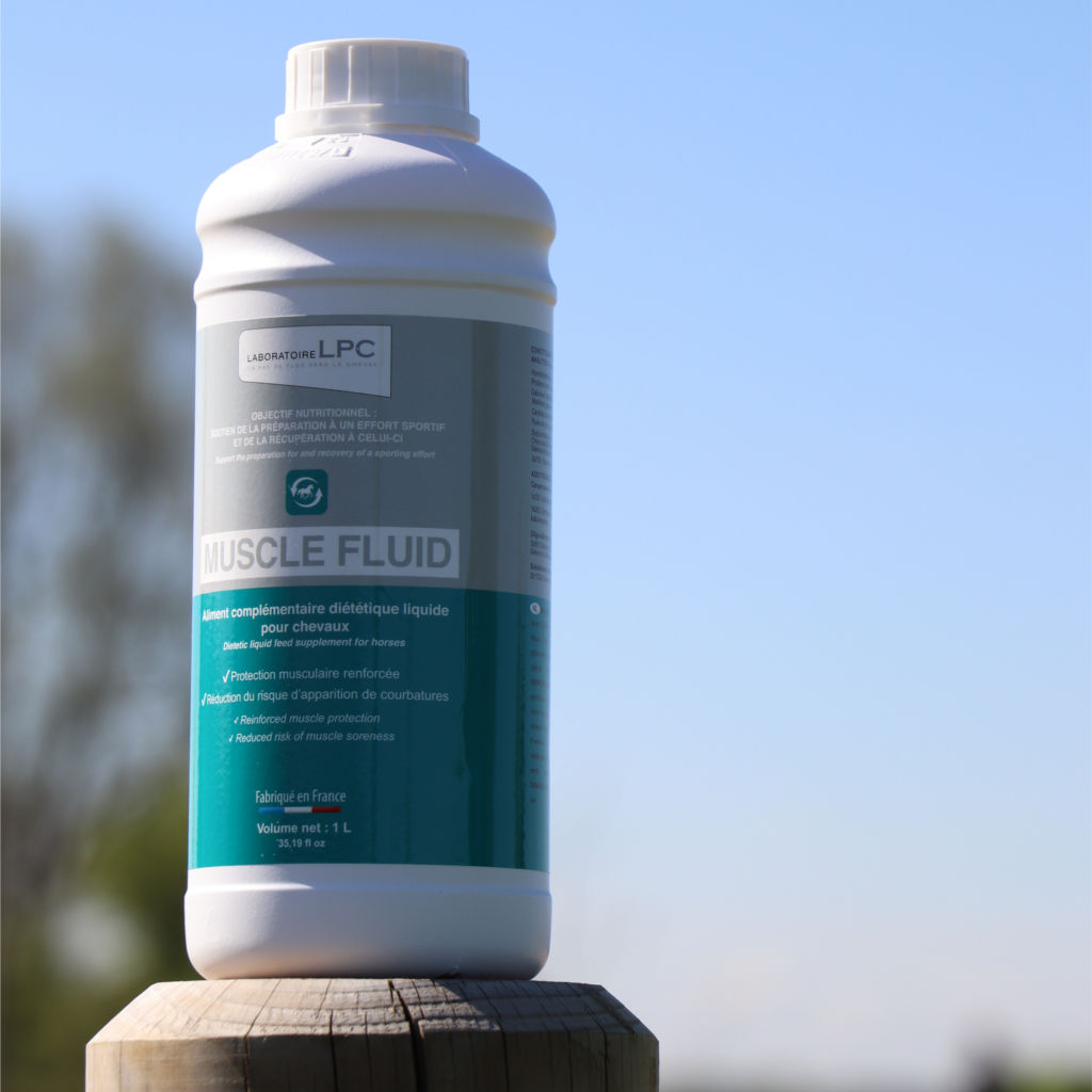 Muscle Fluid – Laboratoire LPC