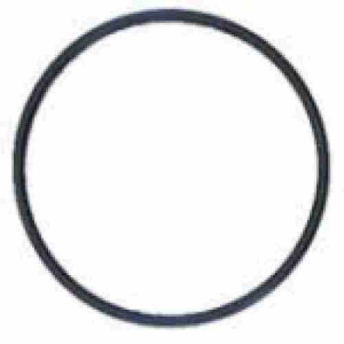 FILTER O-RING - Big Fogg Misting Systems & Solutions