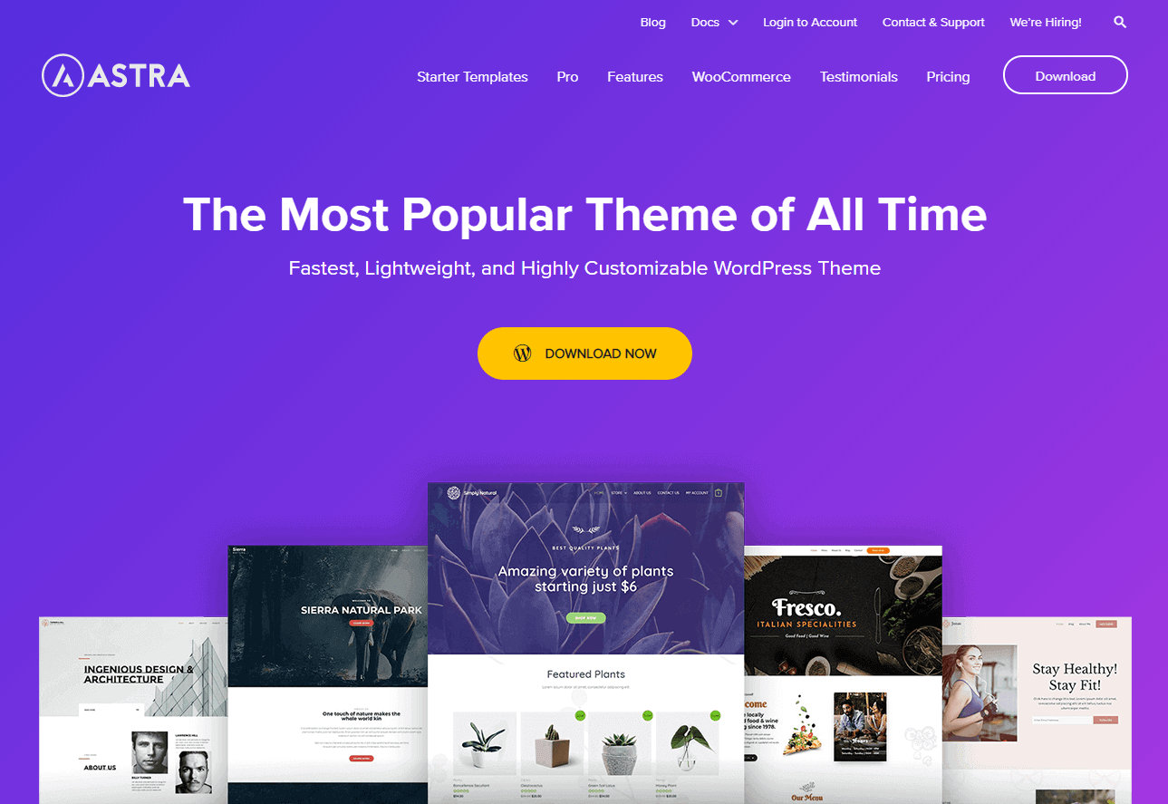 8+Template Blog Wordpress Ringan dan SEO Friendly