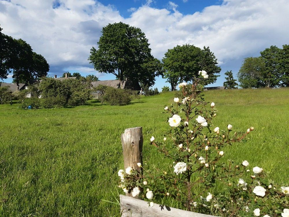 Dievs vībotņu krūmā - Telos