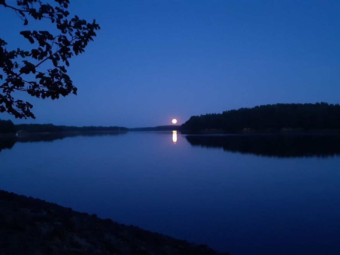 Zvaigžņotā debess virs galvas