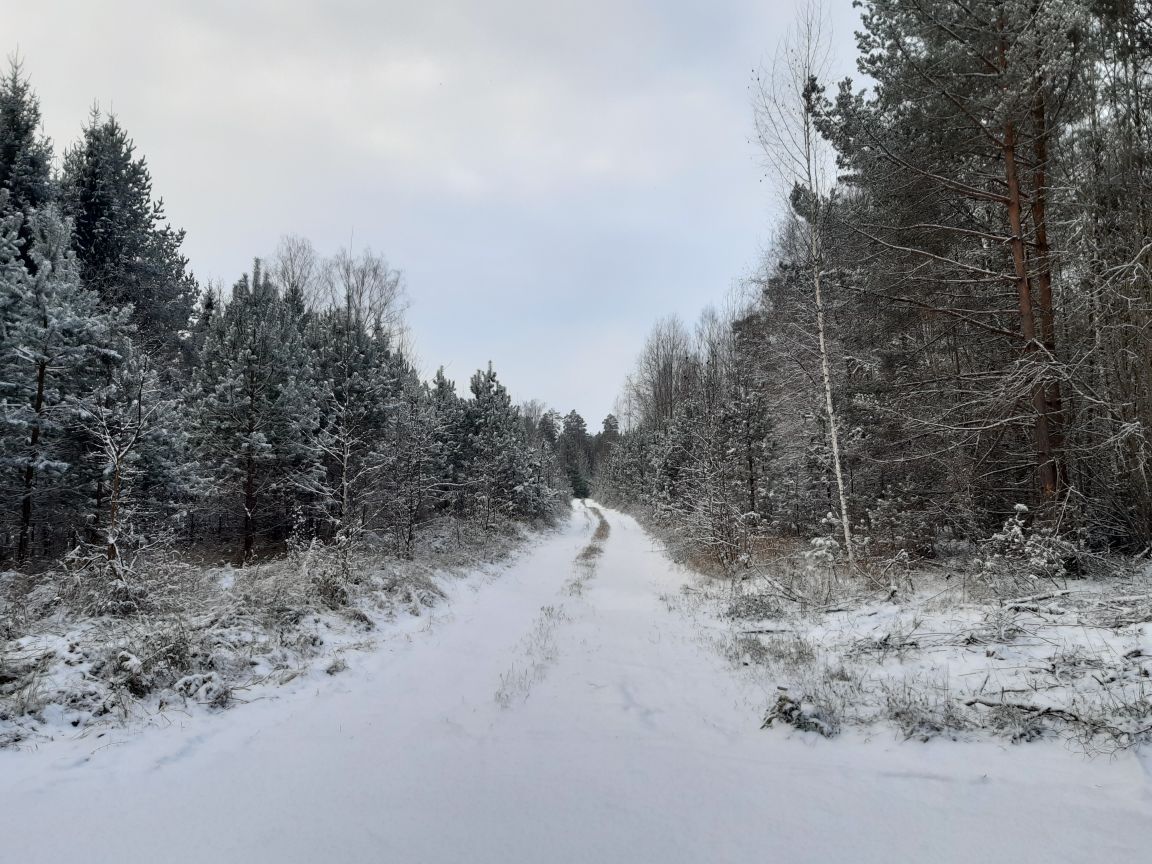 Solveigas dziesma - Telos