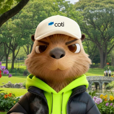 COTI Launches COTI Earn: 12.5M $COTI Rewards Kick Off Loyalty Season ...