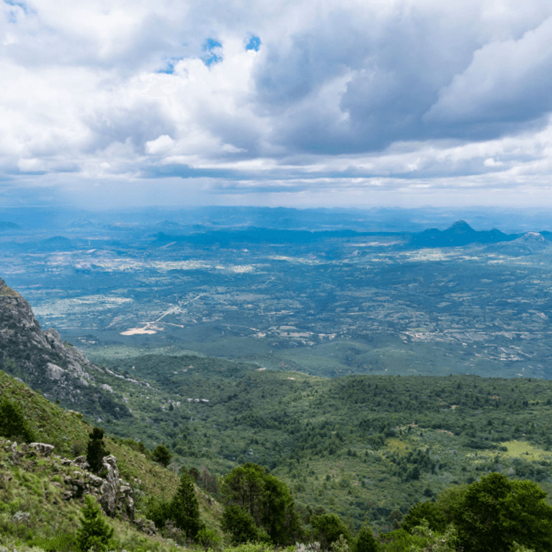 Rupurara Valley Lodge | Premier Hotel Accommodations & Luxury Experiences