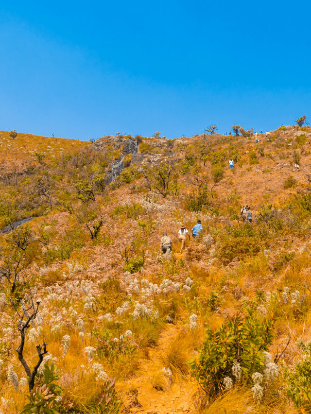 Luxury Valentine's Retreat at Ruparara Valley Lodge | Cresta Hotels