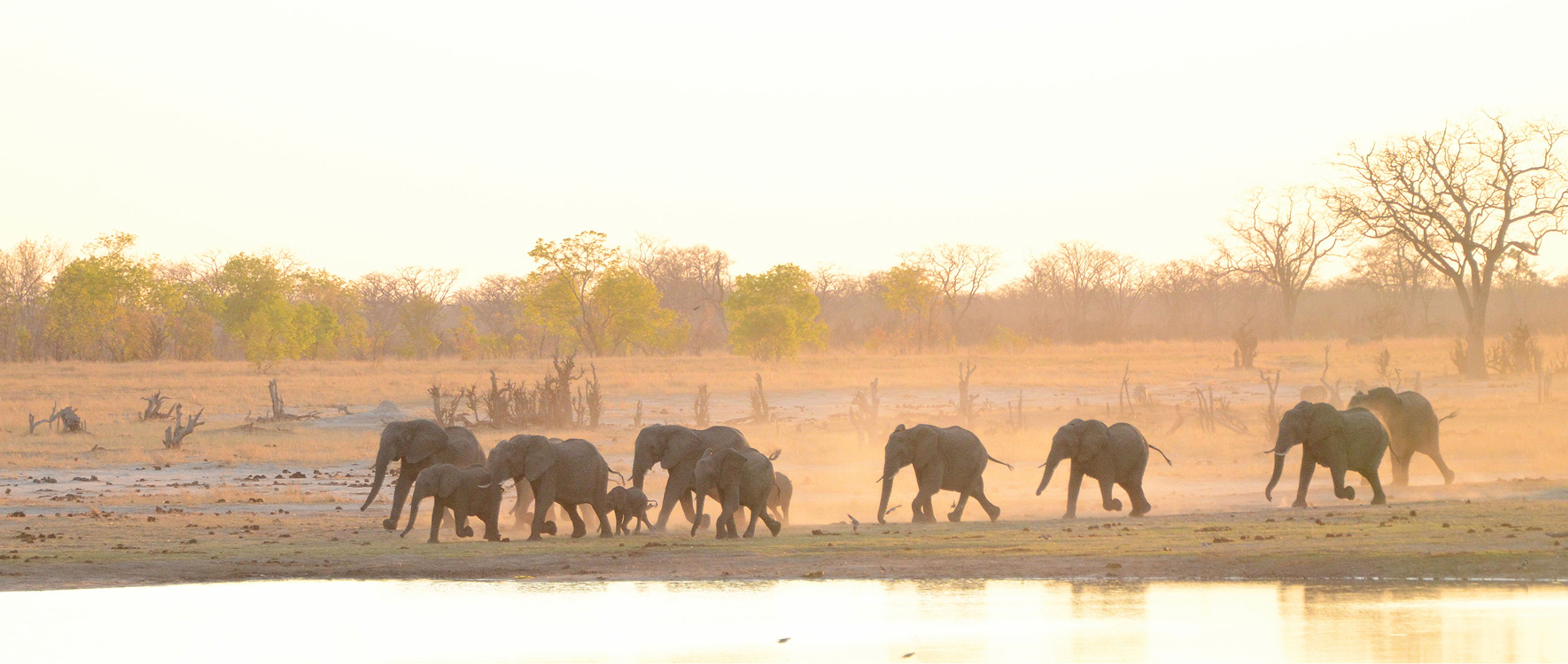 Wild Expeditions Africa | Alternative African Safaris