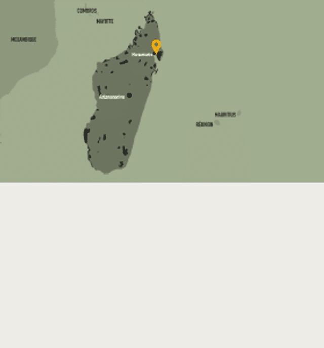Masoala Forest Lodge | Luxury Rainforest Tents Madagascar