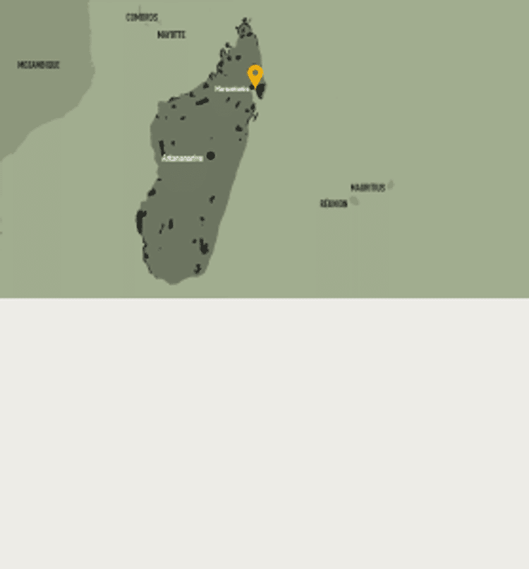 Masoala Forest Lodge | Luxury Rainforest Tents Madagascar