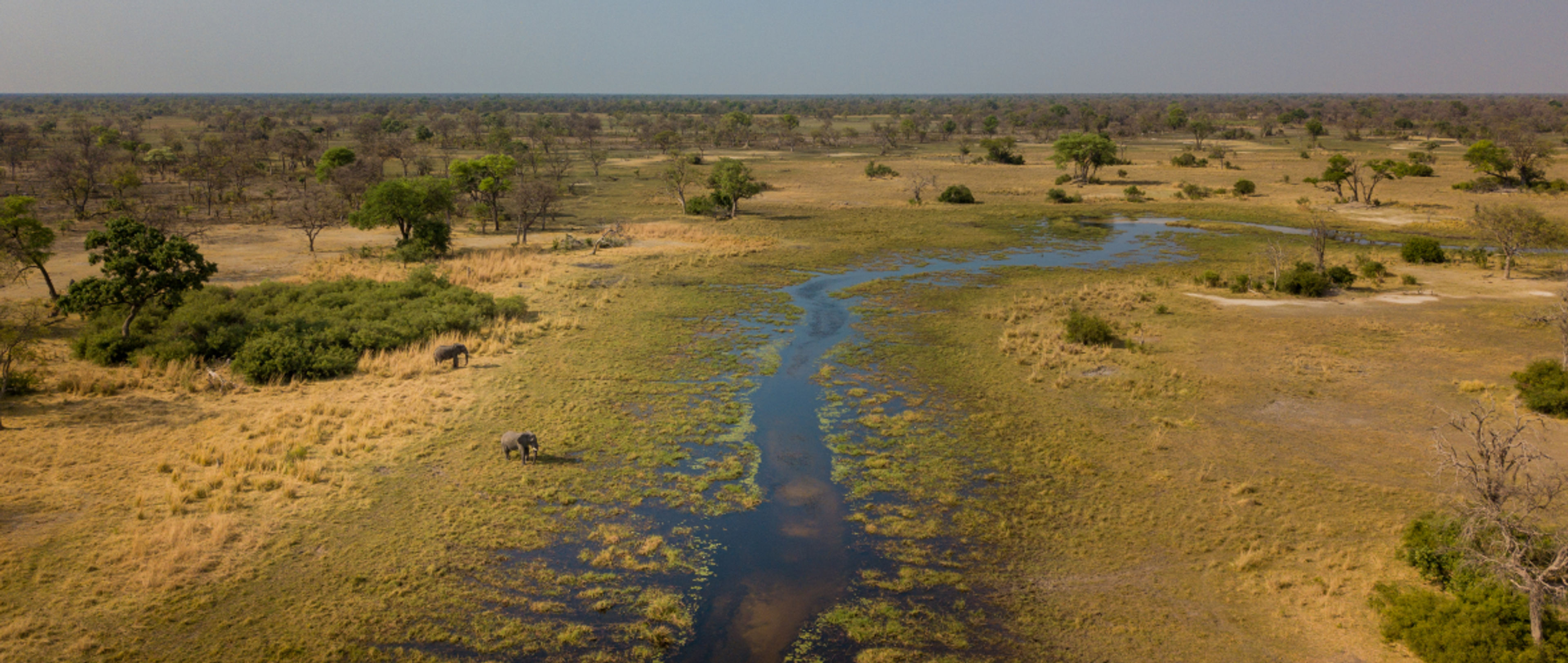 Wild Expeditions Africa: an alternative African safari experience