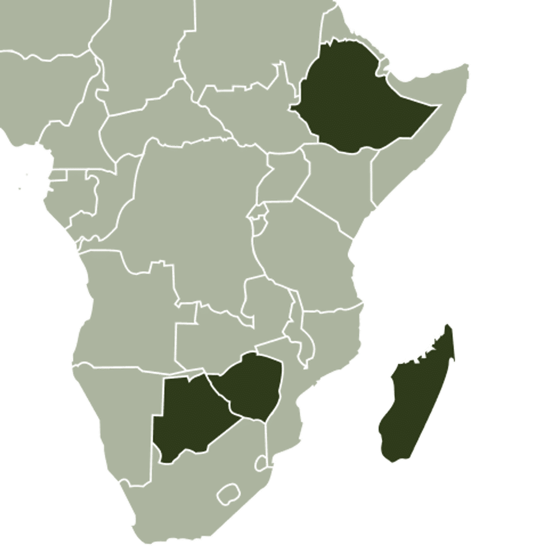 Wild Expeditions Africa: an alternative African safari experience