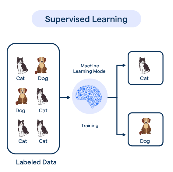Supervised Learning Types And Techniques BotPenguin