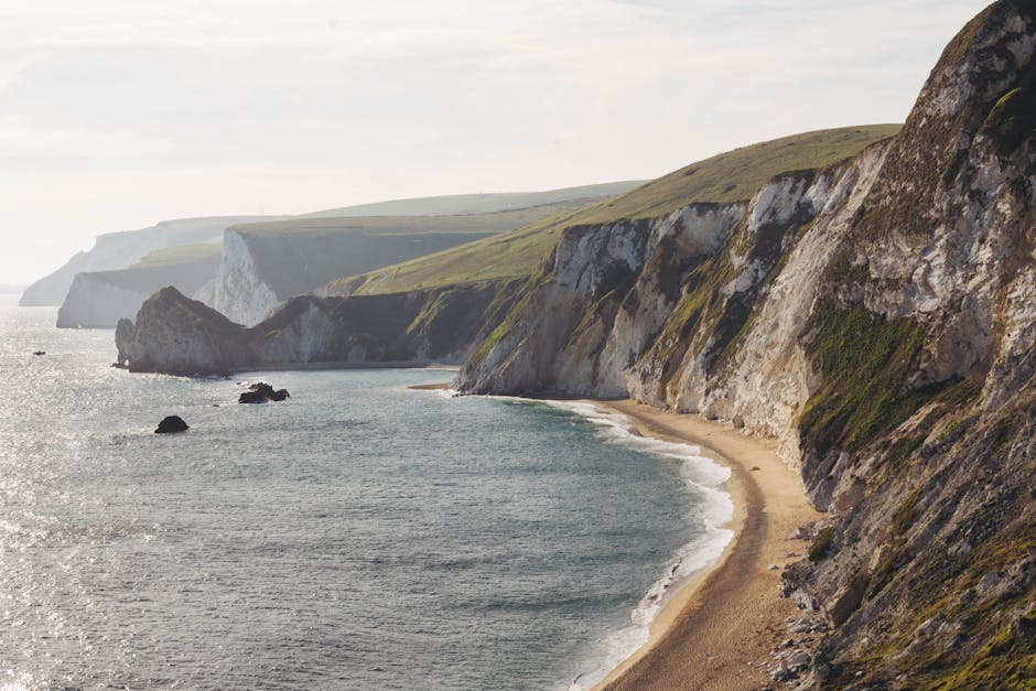 Bournemouth Day Trips: New Forest, Jurassic Coast, and More (Under 1 ...