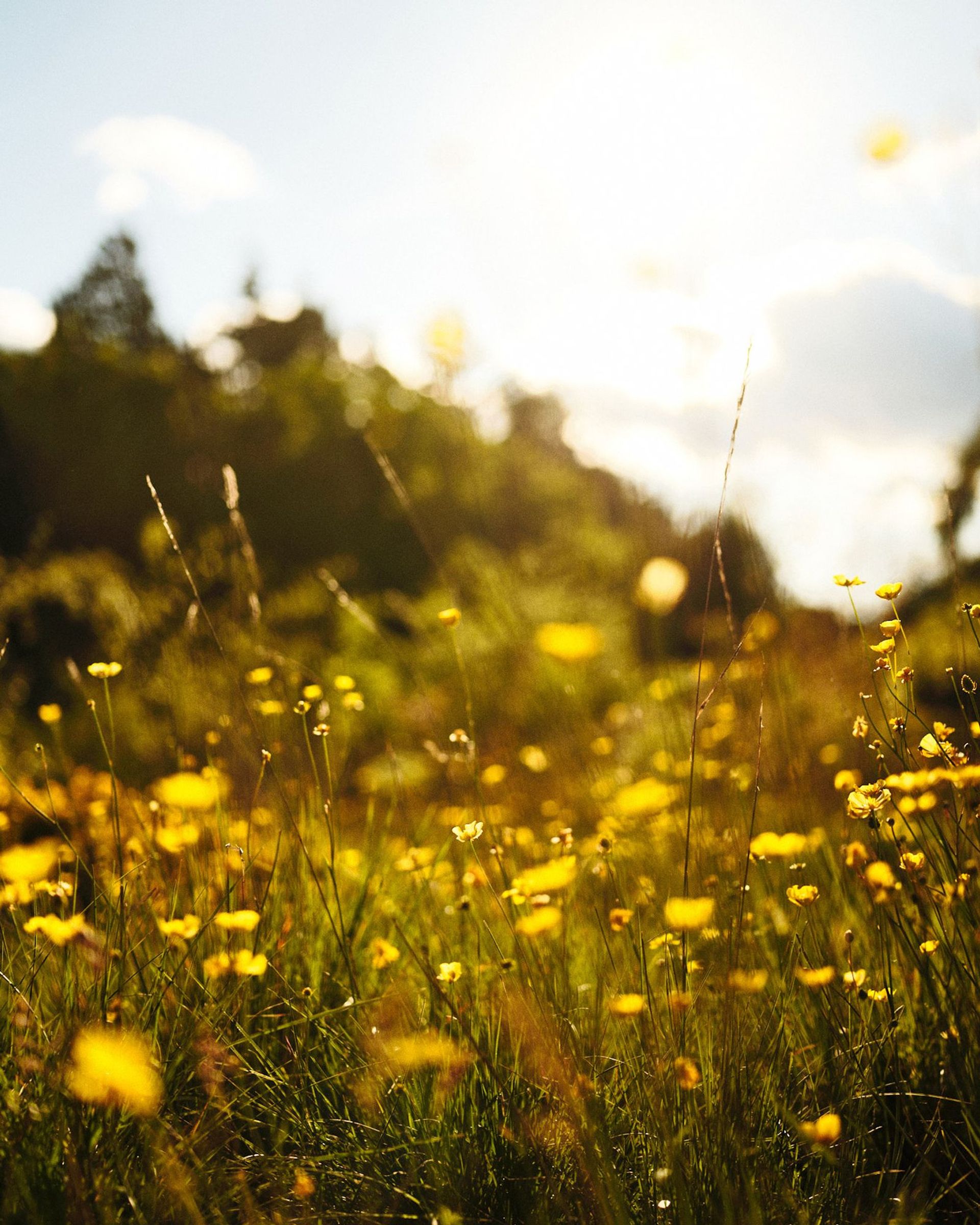 Graydon Herriott's South of France Travel Diary - Boutique