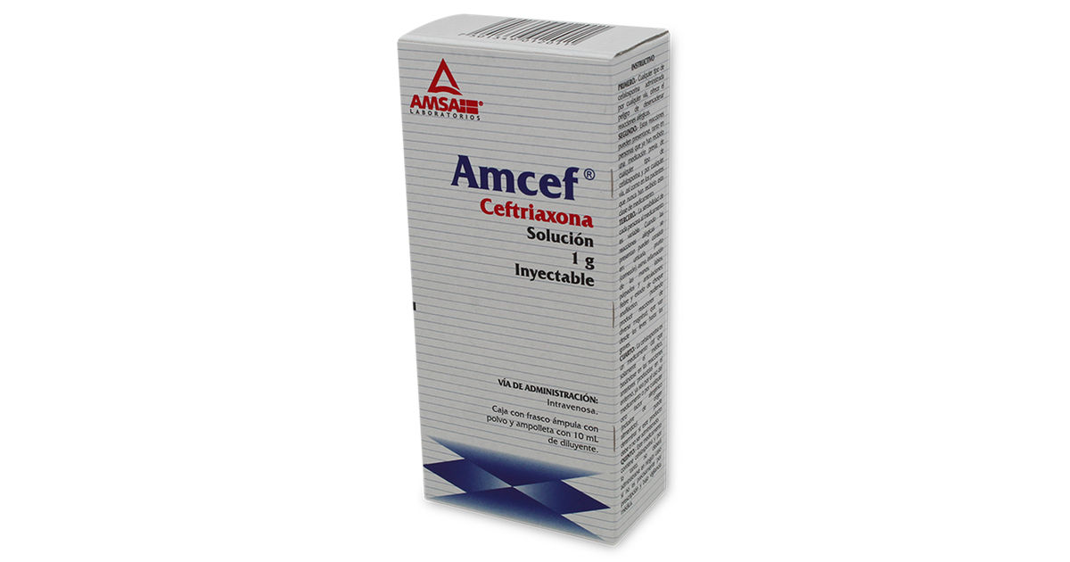 Amcef Ceftriaxona (AMSA) Solución inyectable 1g/10ml 10 ml (1 frasco ...