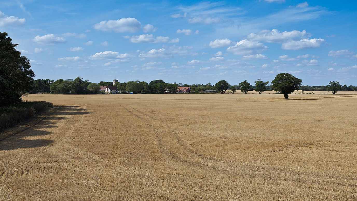 Ploughing for profit: East of England farmland market set for resilient ...