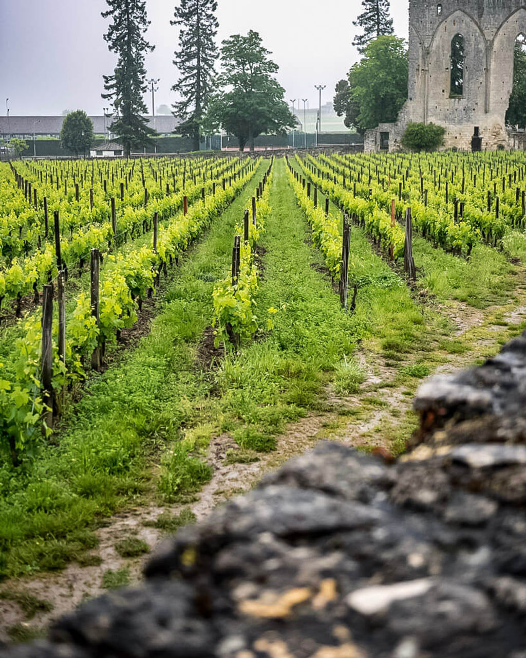 Saint-Emilion Wine Lovers (afternoon) - Bordeaux Wine Trails