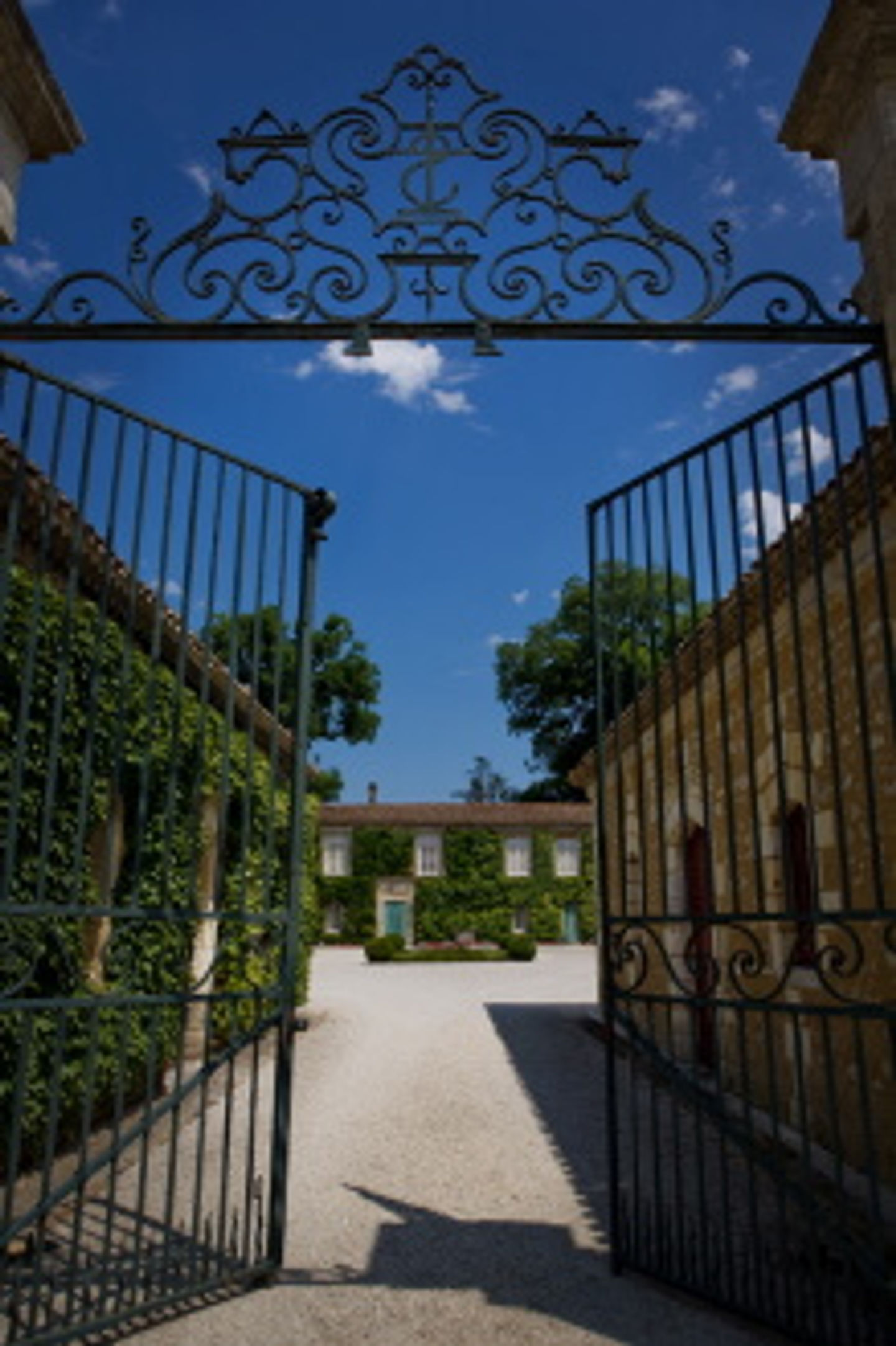 Family Wine Tour in Bordeaux | Private Châteaux, Picnic & Kids Adventure
