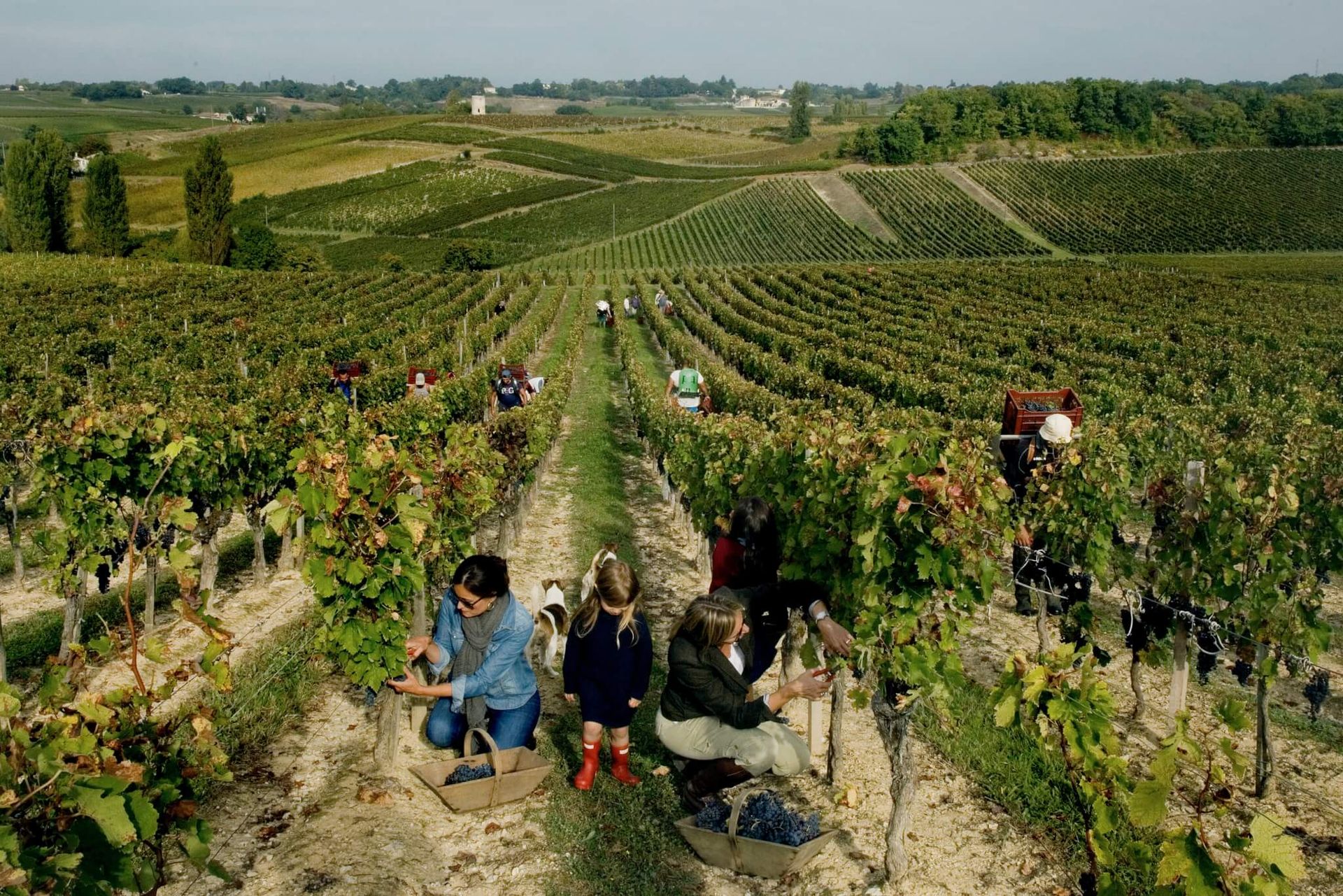 Home - Bordeaux Wine Trails